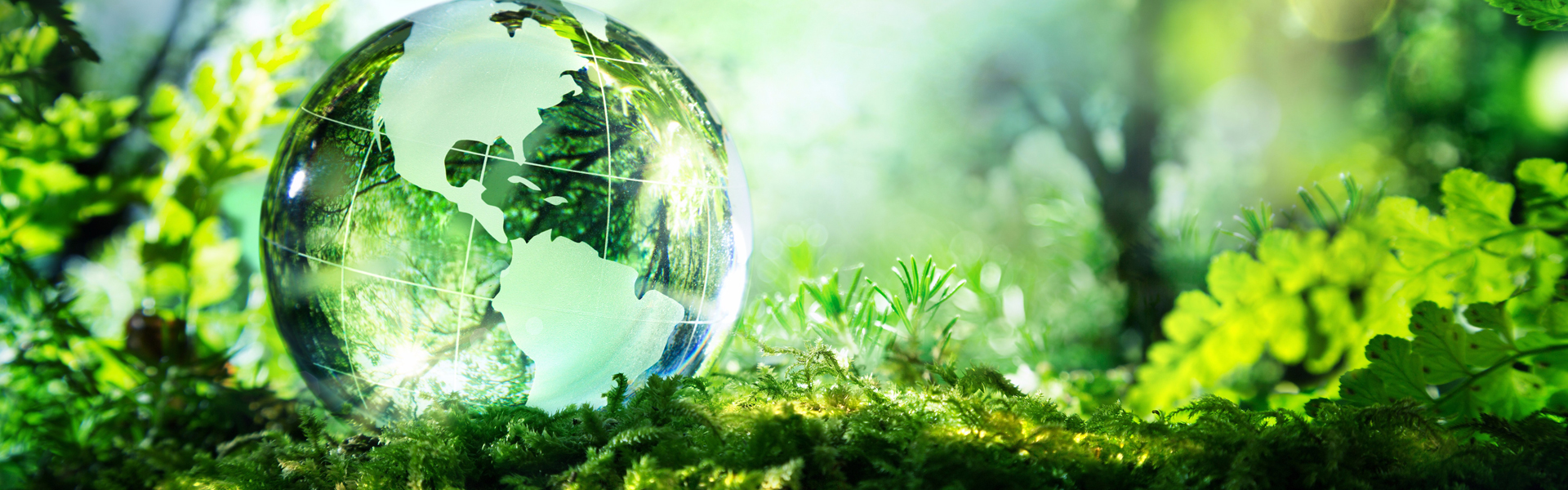 Fund Management – Najm Suhail Investment